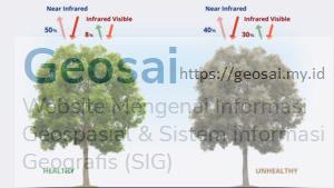 Mengunduh NDVI dengan Google Earth Engine (GEE) - Geosai